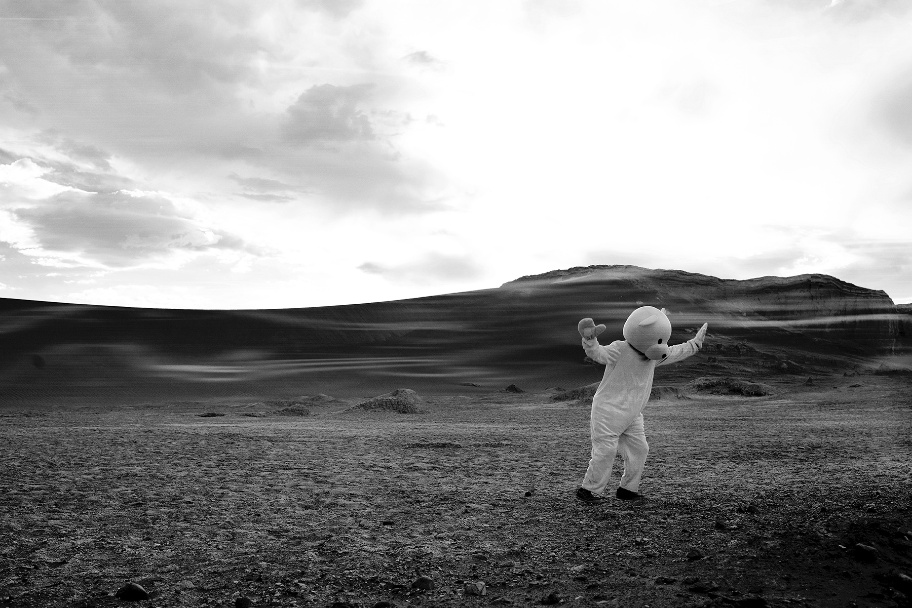 There Is No Way Back I Used To Be A Polar Bear Photography LUAP there-is-no-way-back-i-used-to-be-a-polar-bear-photography-luap